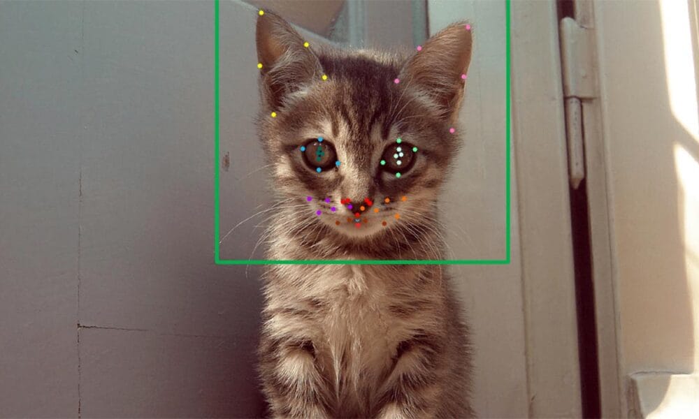 Artificial Intelligence: The Animal Face Reader – Azat TV