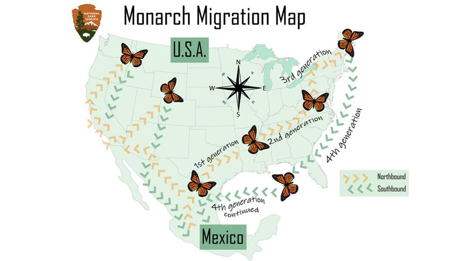 Scientists Map Ancient Painted Lady Butterfly Migration – Azat TV