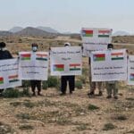 Louella McCoy’s Role in ‘Hunger Games’ Prequel Explained – Azat TV