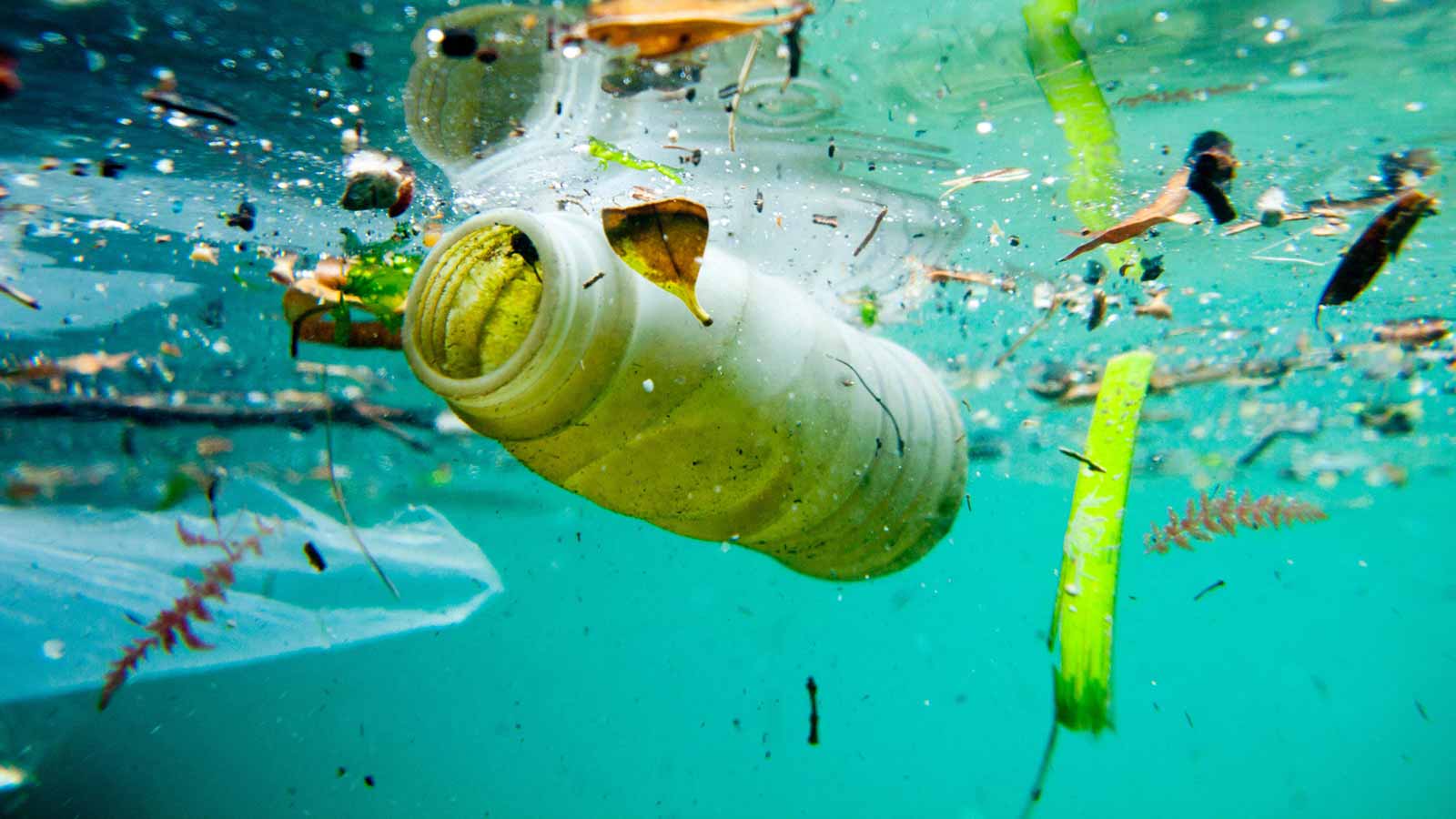 Breakthrough in Ocean Microplastic Detection Promises Cleaner Seas ...