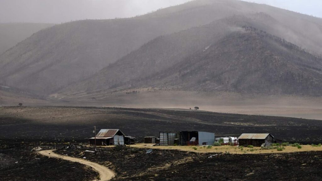 The Meeker Fire Crisis: Colorado’s Latest Wildfire Emergency – Azat TV