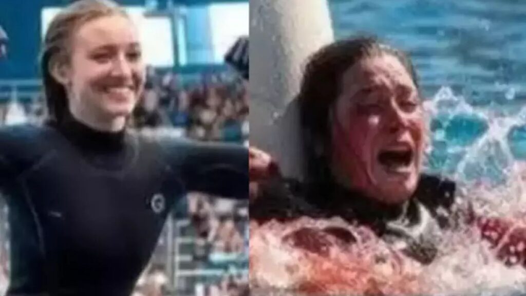 Debunking the Jessica Radcliffe Orca Attack: A Viral Hoax in the Age of ...