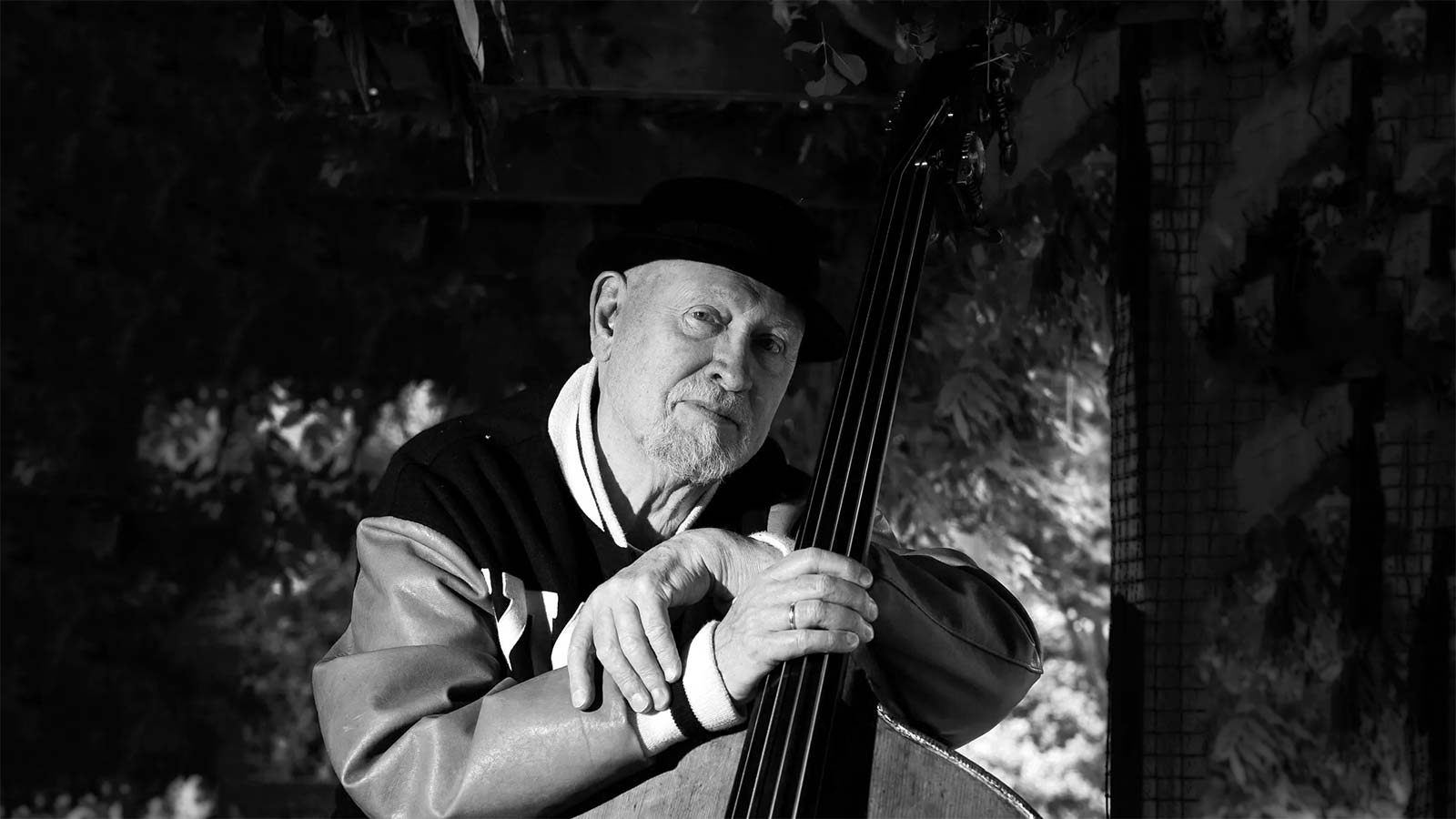 Danny Thompson: The Double Bass Genius Who Reshaped British Music – Azat TV