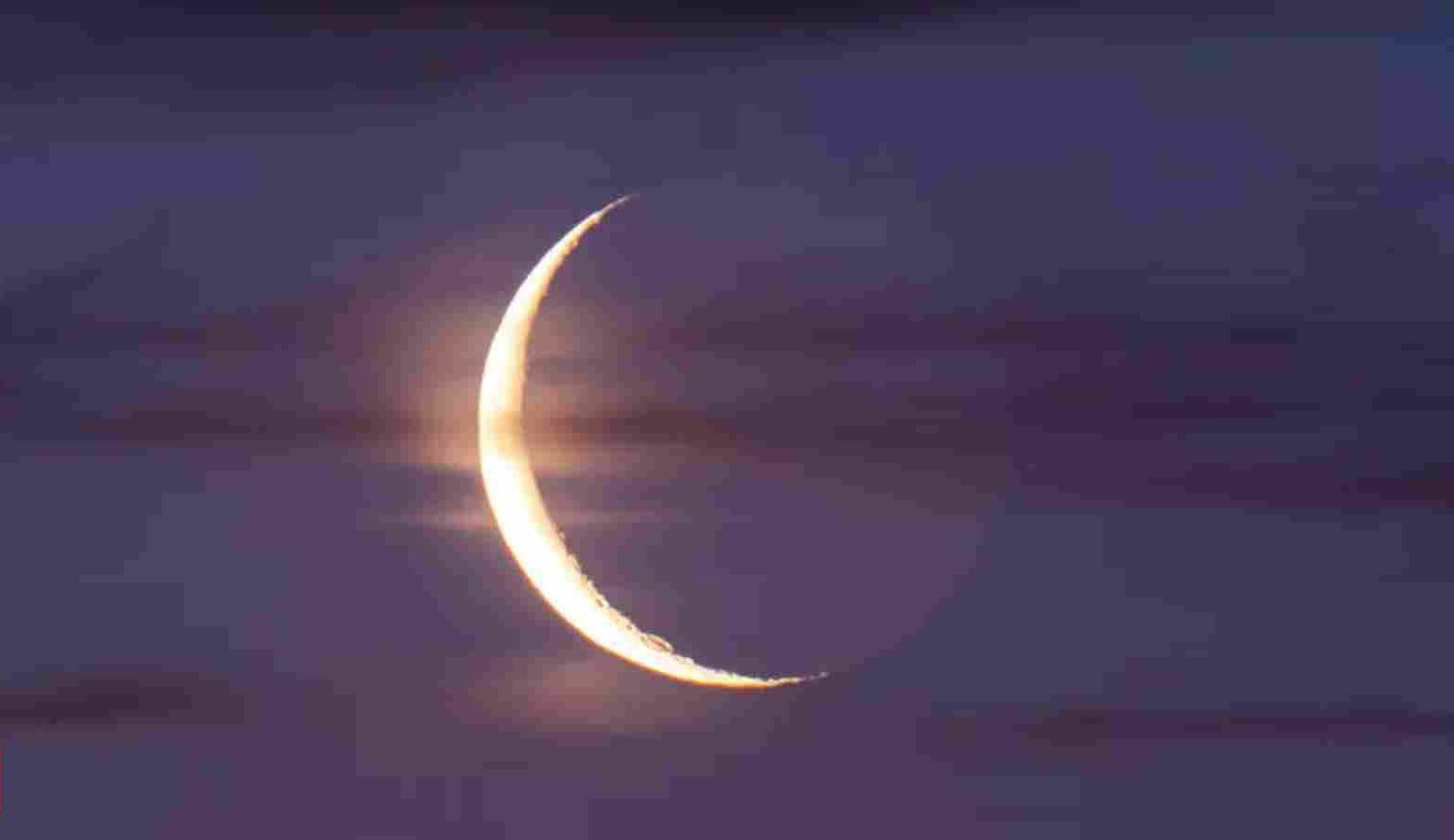 Venus and Regulus Shine Beside the Moon in a Rare Celestial Gathering ...