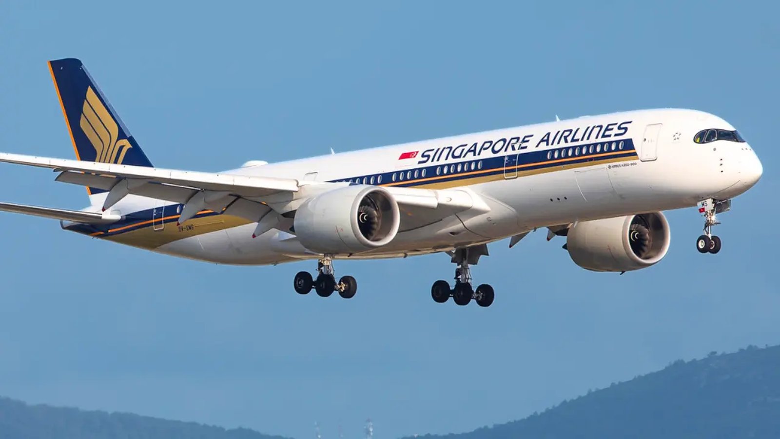 Singapore Airlines Business Class Theft: Syndicate-Linked Passenger ...