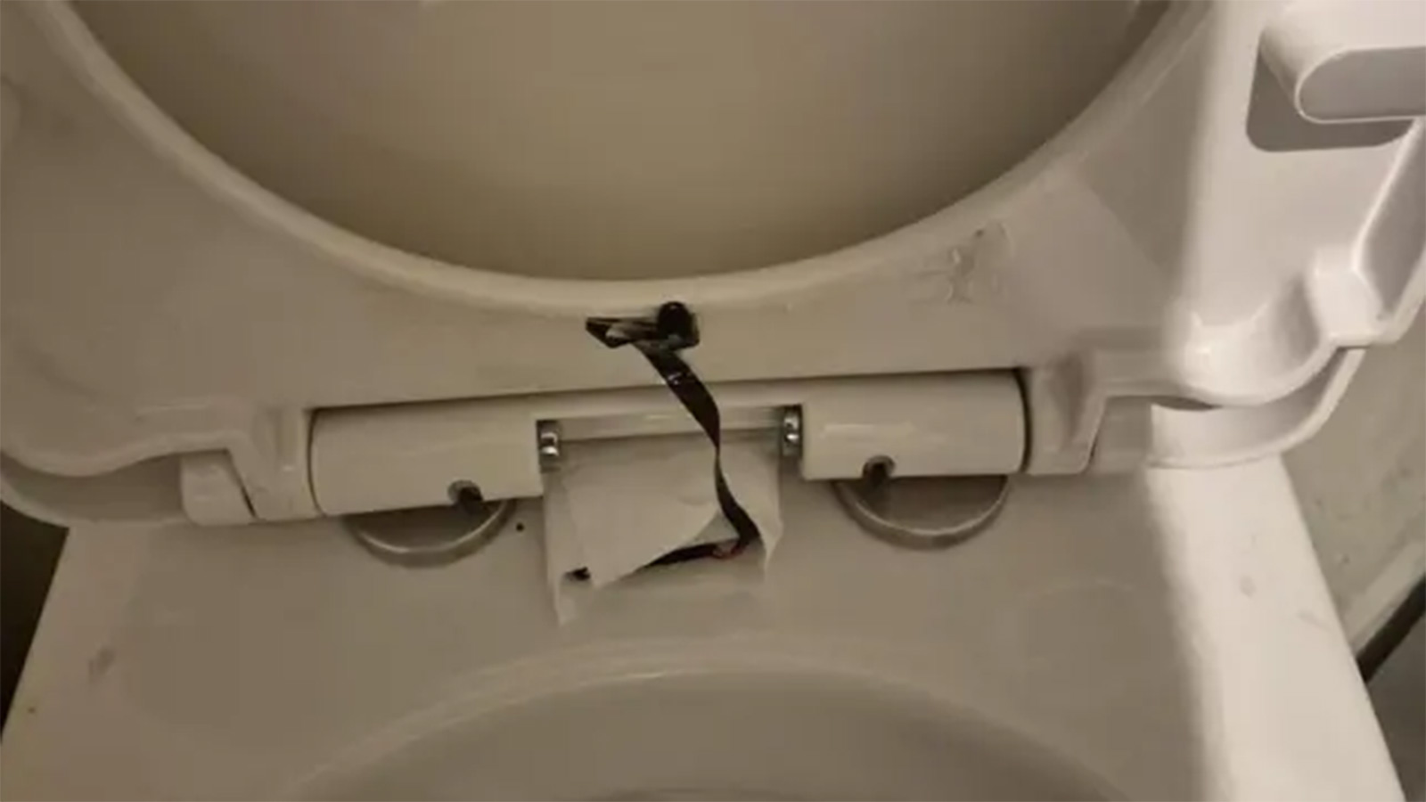 Hidden Camera Found in Giggling Squid Toilet Sparks Police Probe – Azat TV